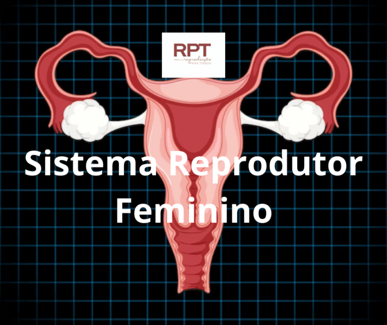 Sistema Reprodutor Feminino - Programa RPT - Reprodução Para Todos